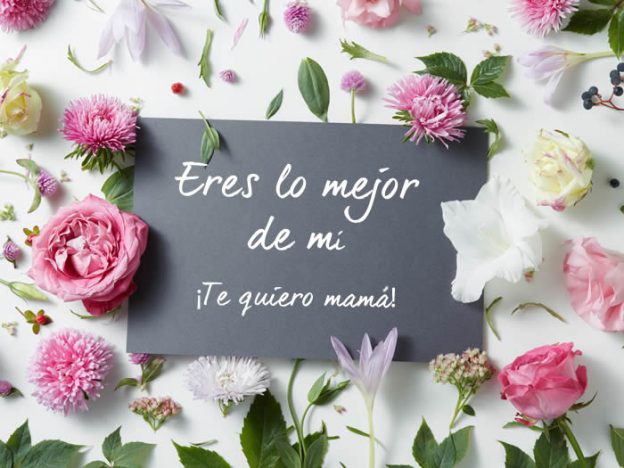 Frases Para El Día De La Madre Mensajes Pensamientos Y Dedicatorias
